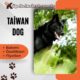Taiwan Dog Özellikleri, Bakımı ve Fiyatları
