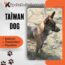 Taiwan Dog Özellikleri, Bakımı ve Fiyatları