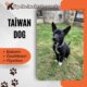 Taiwan Dog Özellikleri, Bakımı ve Fiyatları