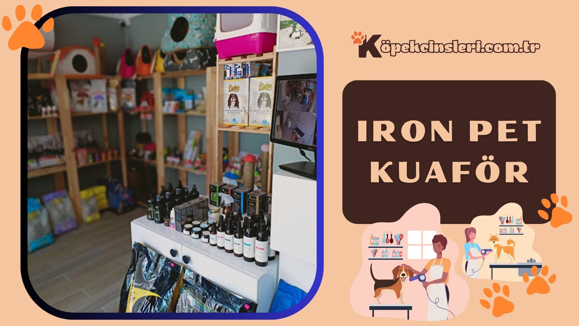 Iron Pet Kuaför - Köpek Cinsleri | Köpek Cinsleri Fiyatları